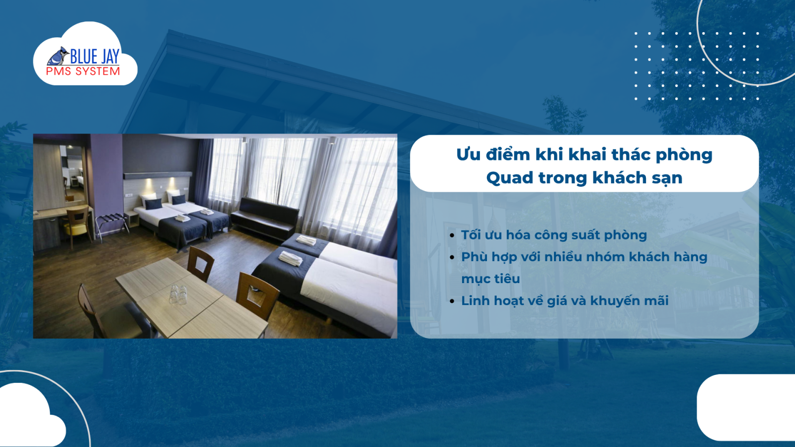 Quad room là gì? Những đặc điểm của phòng Quad room